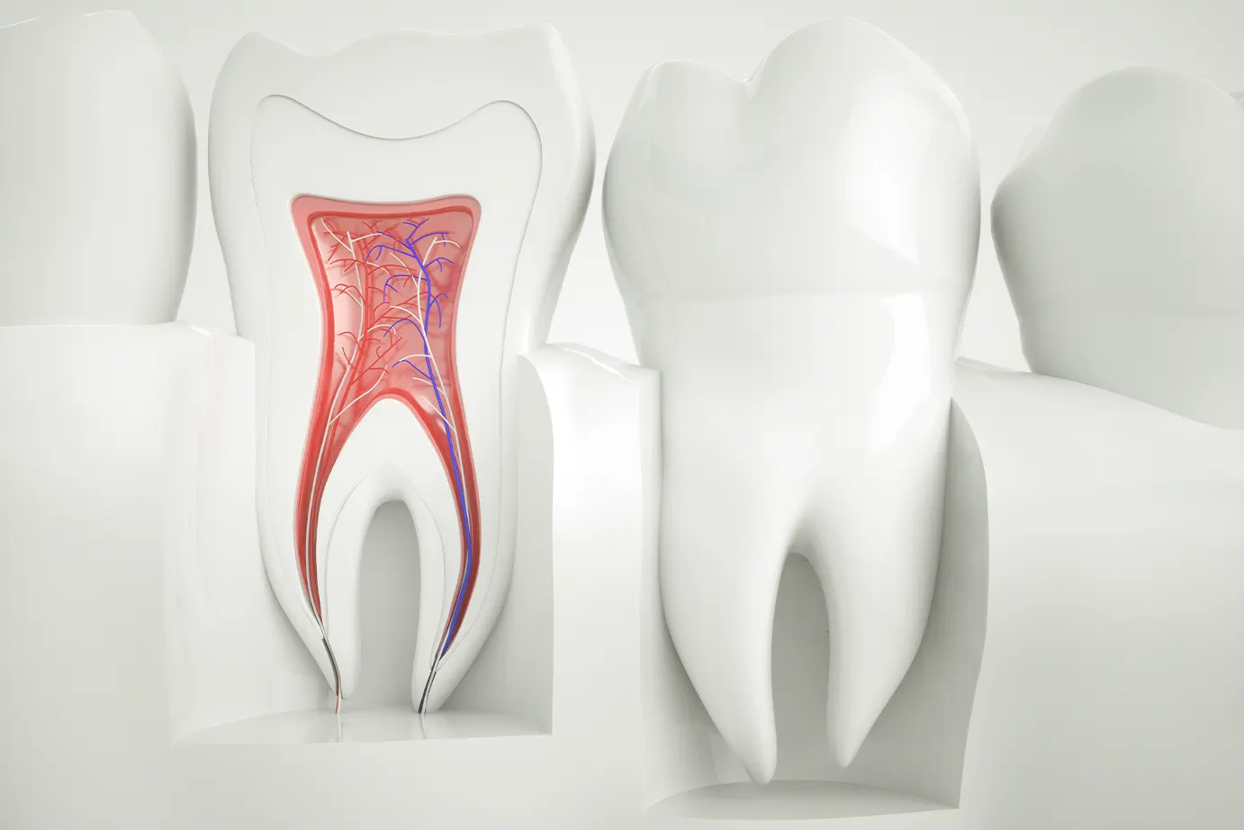 Failed Root Canal Symptoms: Recognize the Signs & When to Seek ...
